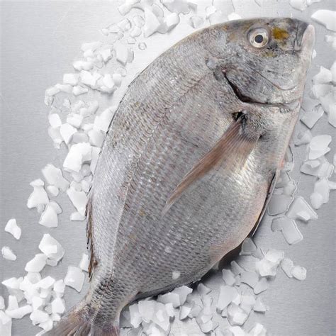 Image result for Subarray SAR