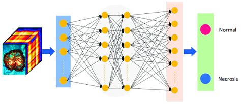 Image result for Tissue Classification Neural Network