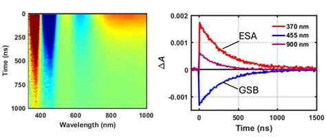 Image result for Transient Absorption Spectroscopy