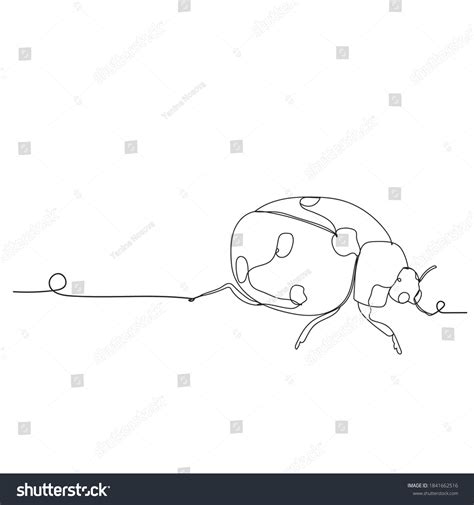 Image result for Ladybug Line Drawing