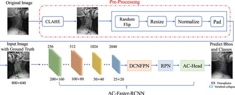 Image result for Perception Network Training Algorithm