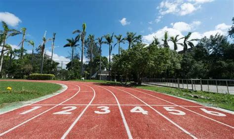 Image result for Running Track Design