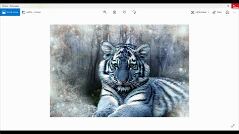 Image result for BeanShell Tutorial
