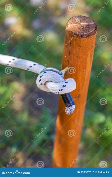 Image result for Spring Pole Knot