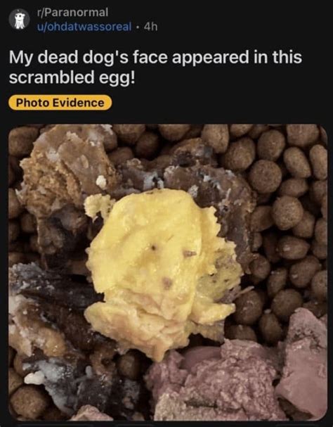 Image result for Most Strangest Reddit Post