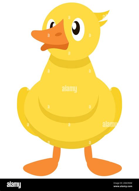 Image result for Duckling Front View