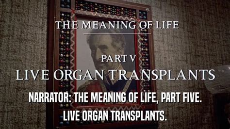 Monty Python | GIFGlobe