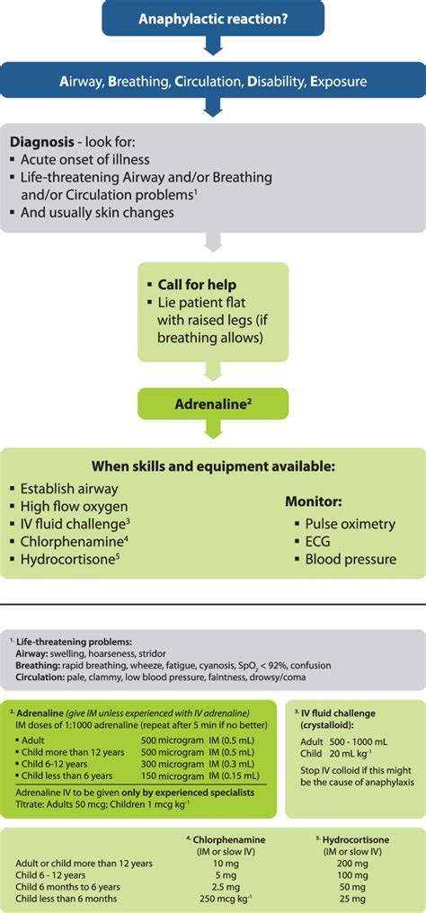 Image result for Anaphylaxis Treatment Algorithm