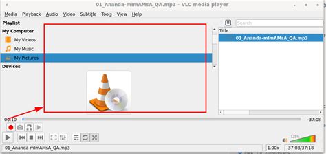 Image result for VLC Interface