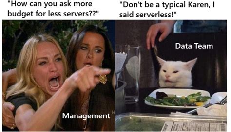 Image result for Pro Compute vs Serverless Databricks