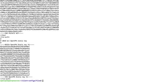 Image result for OpenVPN File