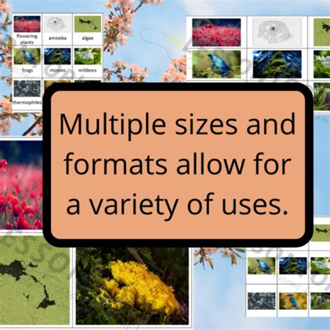 Image result for Classifying Living Things Card Sort