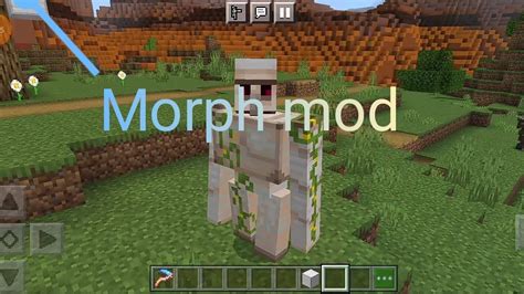 Image result for Good Morph Mod Java
