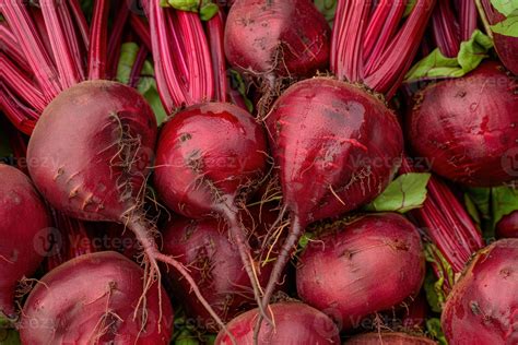 Image result for Color of Beets