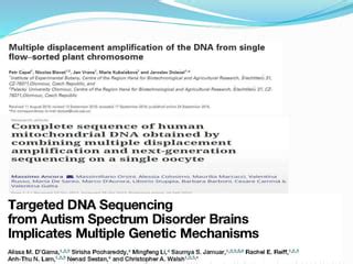 Image result for Multiple displacement amplification DNA Amplification Methods