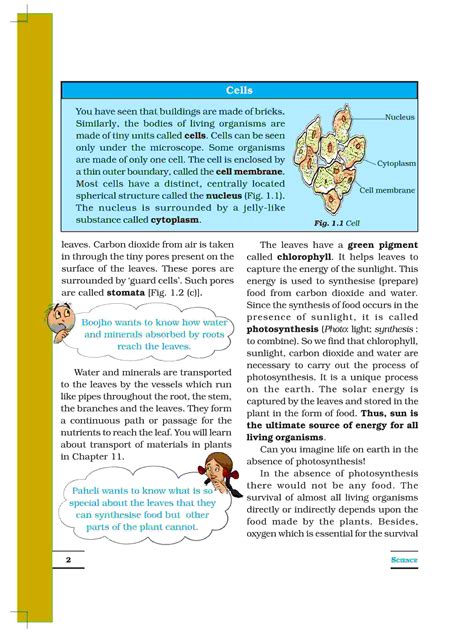 Image result for Class 7th Science Chapter 7