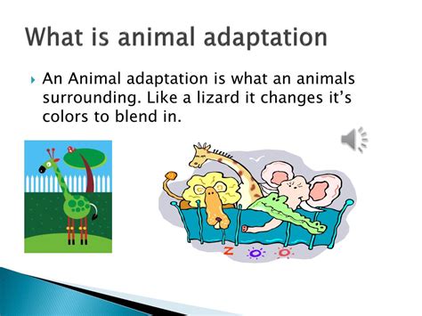 Image result for Behavior Adaptation