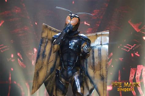 Image result for A Singer Insect