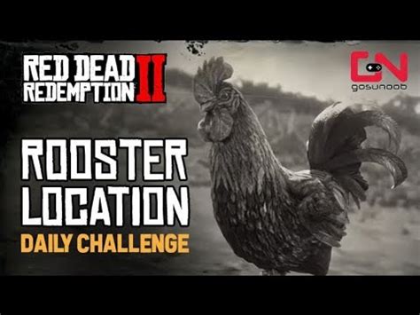 Image result for Java Rooster RDR2 Location