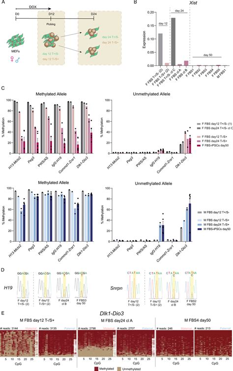 Image result for Female Reprogramming