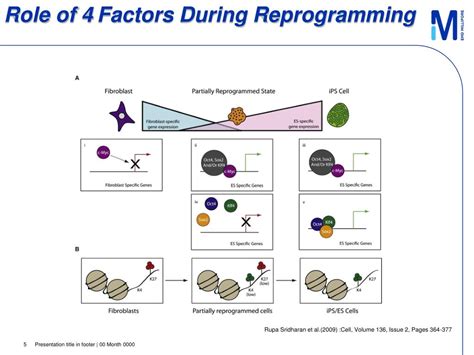 Image result for Reprogramming Methods