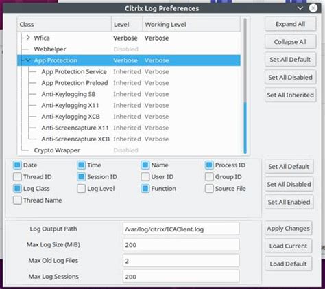 Image result for Citrix Workspace Problems