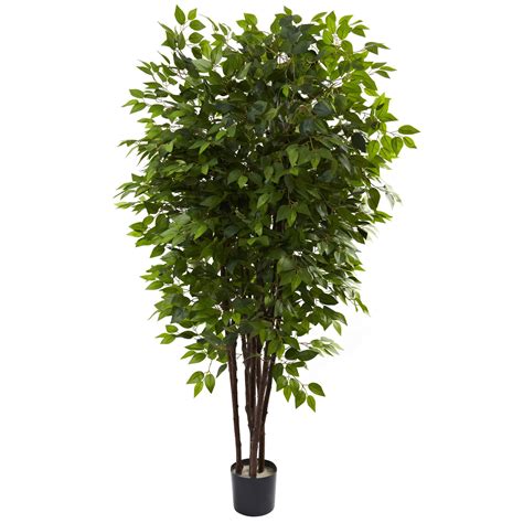 Image result for Fake Ficus Tree