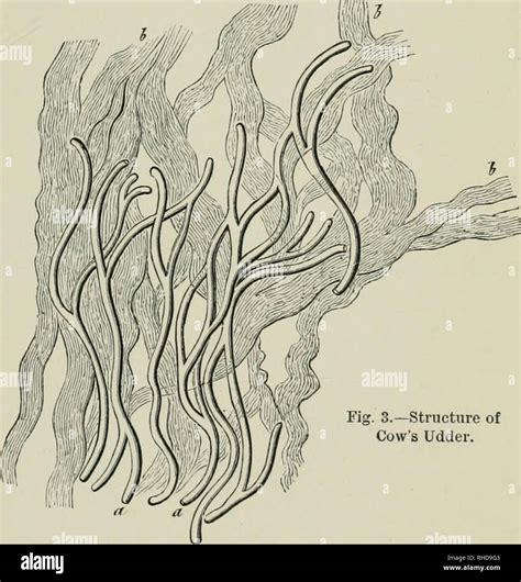 Image result for Period Science Definition