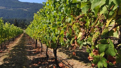 Image result for Salt Spring Island Travel guide