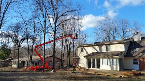 Image result for Tree Lift