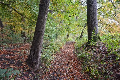 Image result for Dry Spring