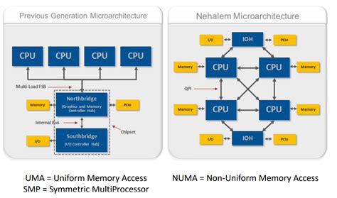 Image result for Numa Python