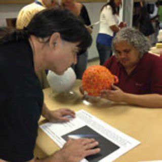 Image result for ImageNet Dataset