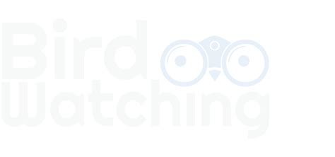 Image result for Crow Vs Raven Differences