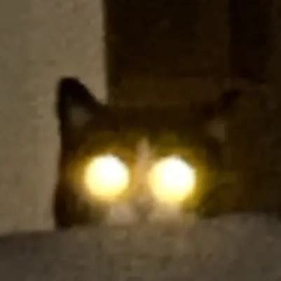 Image result for Minecraft Inematic ModName