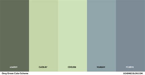 Grey Green Color Scheme - Palettes - SchemeColor.com