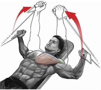 Image result for Incline Bench Cable Fly