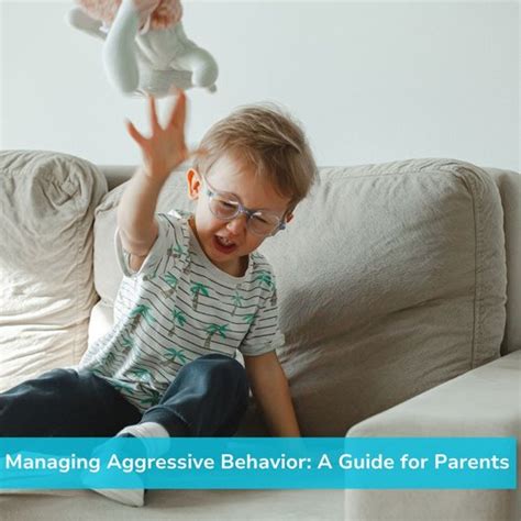 Managing Aggressive Behaviors: A Guide for Parents — Behavior Frontiers