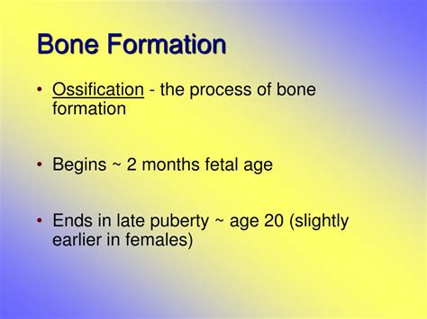 Image result for Bone Formation Process
