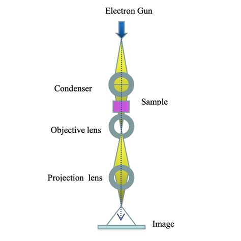 Image result for Tem Microscope Introduction
