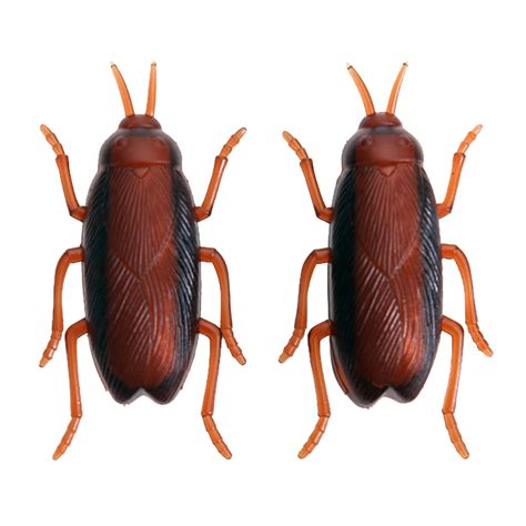 Image result for Cockroach Toy