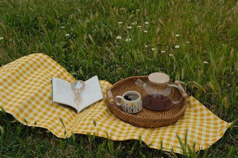 Image result for CDA Competency Standards Book PDF