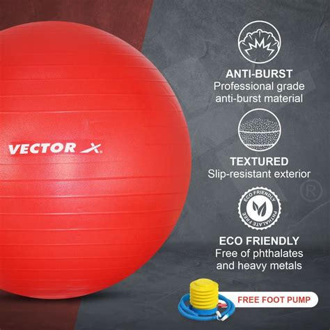 Image result for Octavia Red Exercise Ball