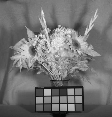 Image result for Phase One Multispectral