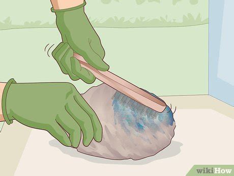 Image result for How to Polish Paua Shells