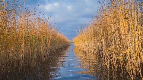 Image result for Vision Fly Fishing Net