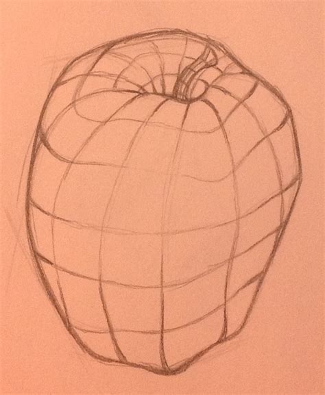 Image result for Cross Contour Object Drawing