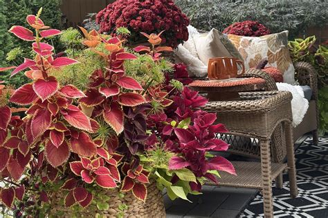 Image result for Fall Decorating Outside