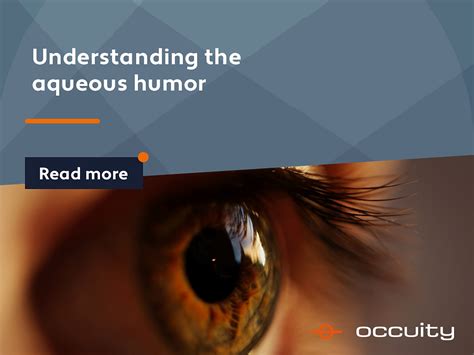 Image result for Aqueous Humor