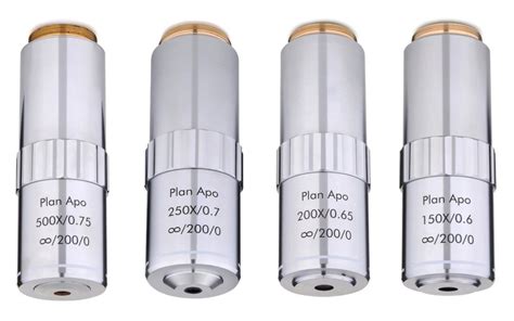 Image result for Objective Lens Magnification